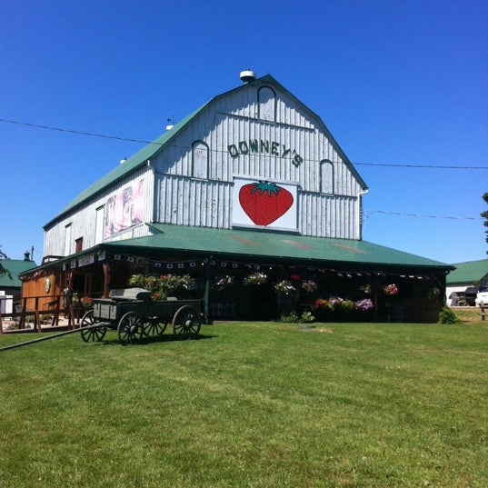 Downey's farm - Farm in Caledon