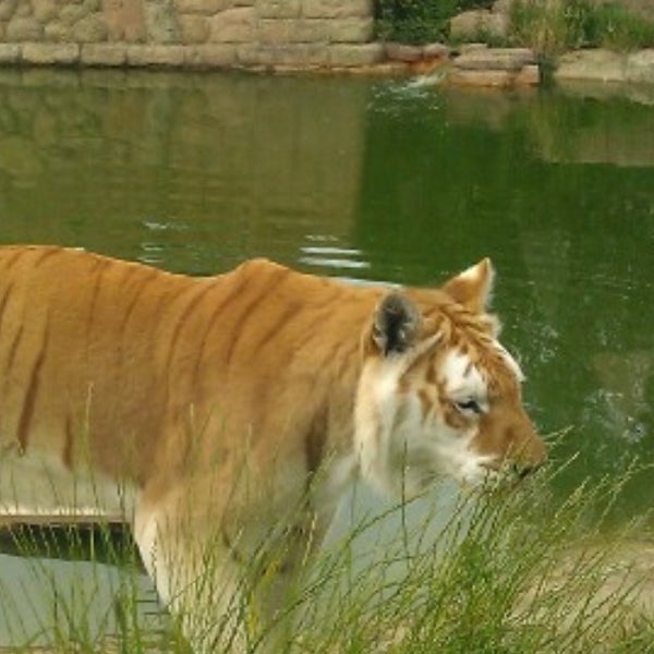 Isle Of Wight Zoo - Sandown, Isle of Wight