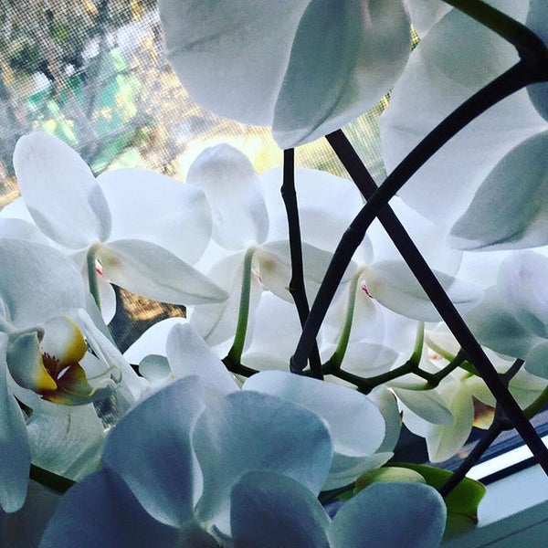 Parcul Bordei - Primăverii - str. I. S. Turgheniev