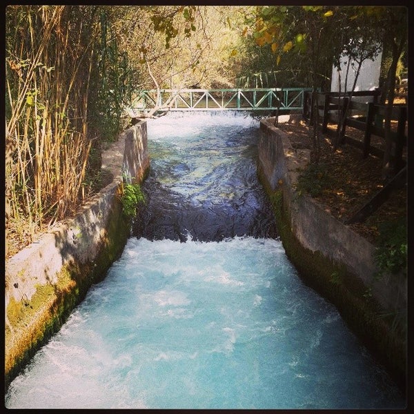 Tel Dan Nature Reserve (שמורת תל-דן) - 7 tips from 467 visitors
