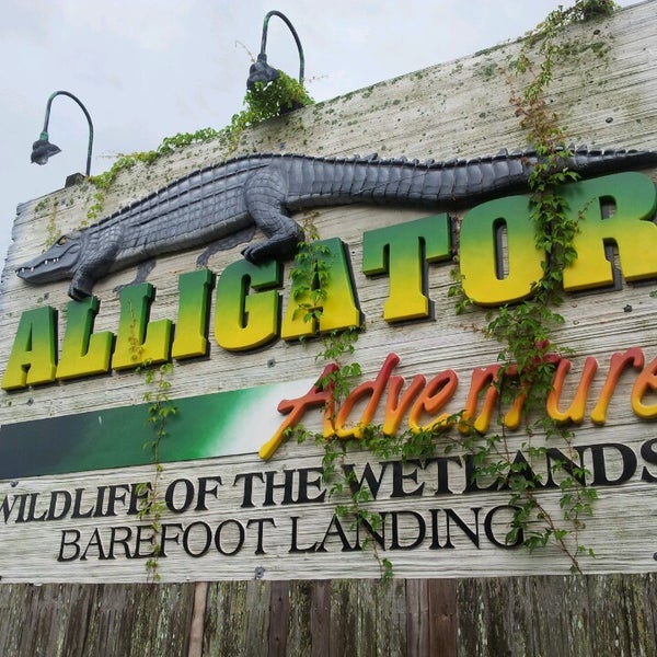 Alligator Adventure - North Myrtle Beach, SC