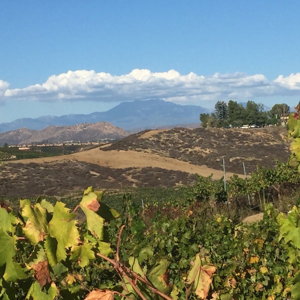 Churon Winery - 9 tips