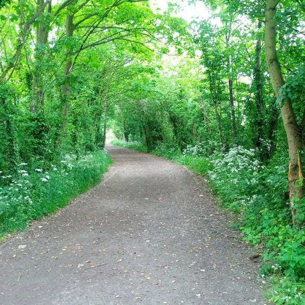 Colwick Country Park - 4 tips from 164 visitors