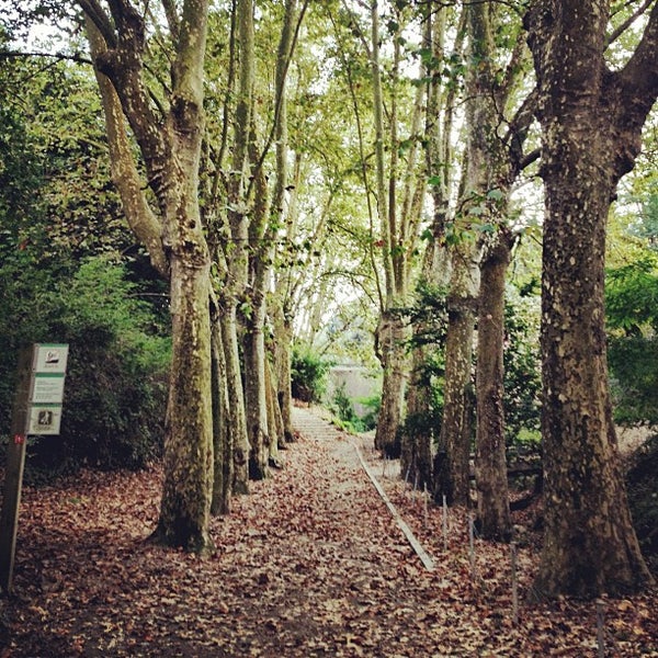 Parc de Collserola - National Park in Barcelona