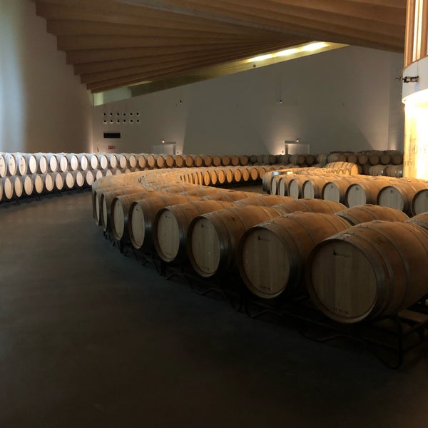 Bodegas Ysios - Camino de La Hoya Carravaca, s/n