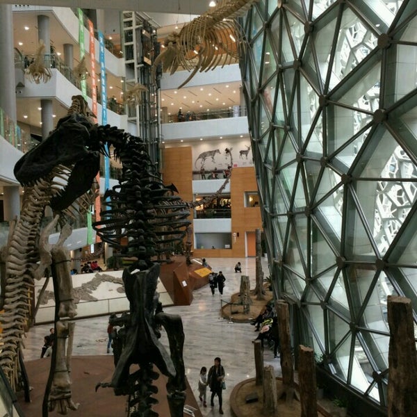 上海自然博物馆 | Shanghai Natural History Museum - Jìngān - 510 West Beijing Road