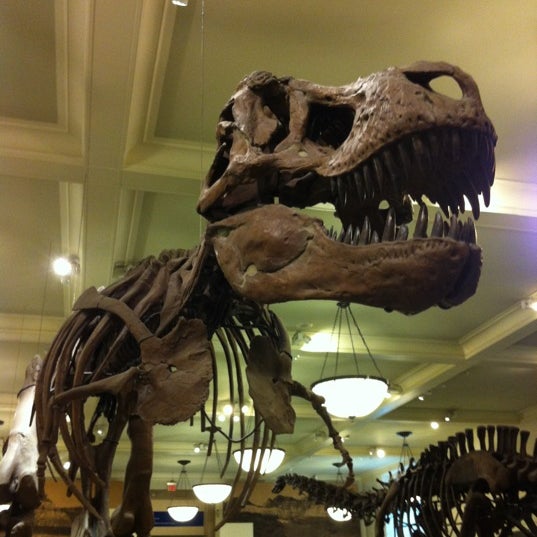 Tyrannosaurus Rex! - Upper West Side - 200 Central Park W