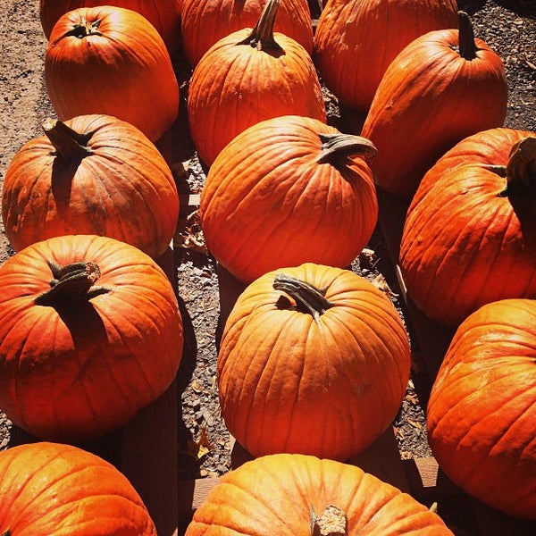 Story Farms - Farmers Market