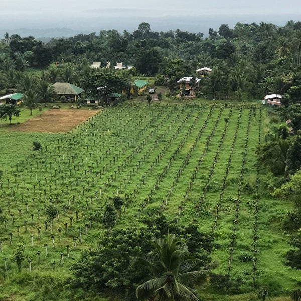lukong valley farm - 7 visitors
