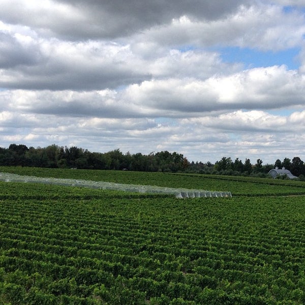 Vignoble de L'Orpailleur - Winery in Dunham