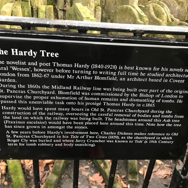 The Hardy Tree - Tree