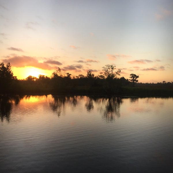 Bayou Segnette State Park - Park in Westwego