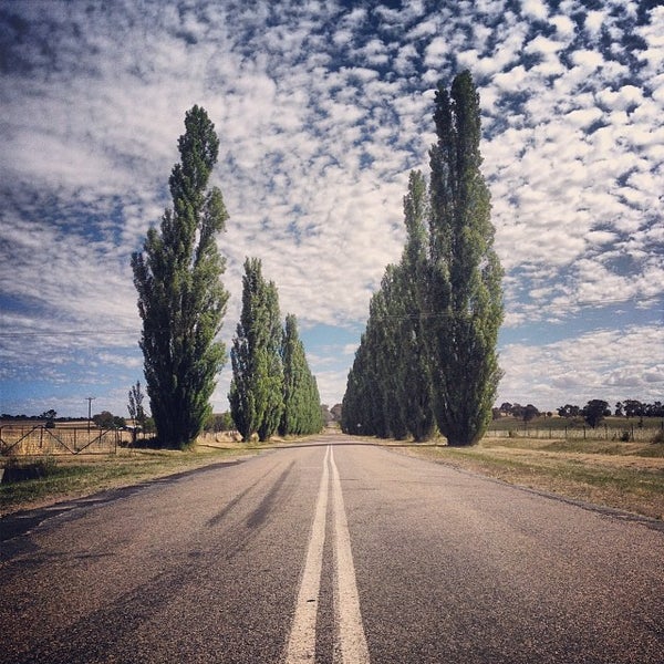 Boorowa - Boorowa, NSW