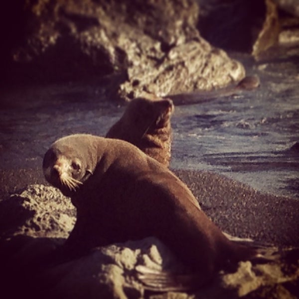 Cape Palliser - Other Great Outdoors in Wairarapa