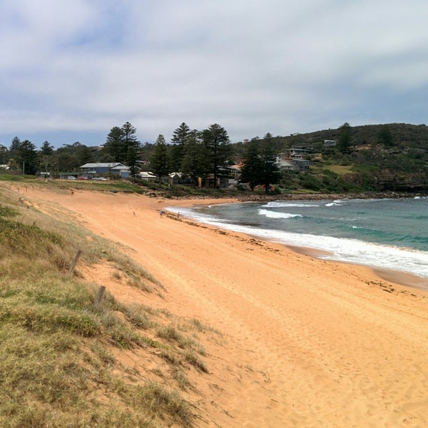 Avalon Beach - 9 tips