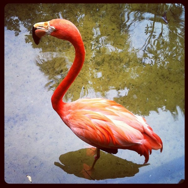 Palm Beach Zoo - 33 tips