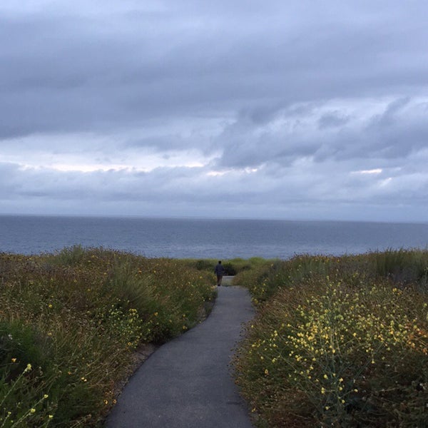 Reef Point - Crystal Cove - 1 tip from 517 visitors