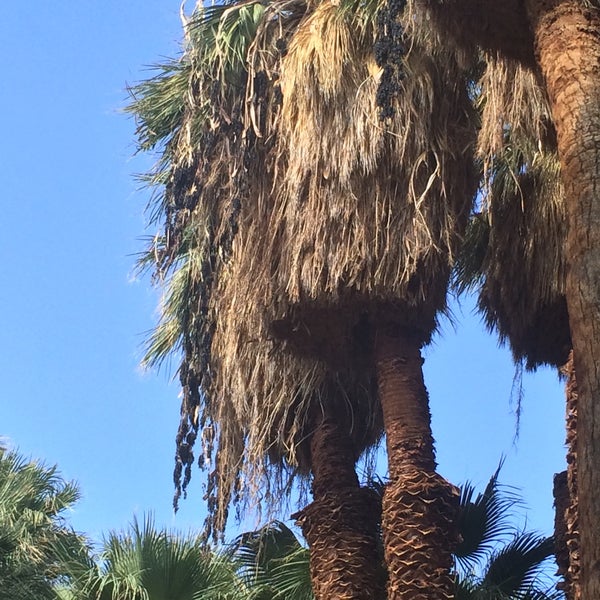 Thousand Palms Oasis Preserve - Nature Preserve