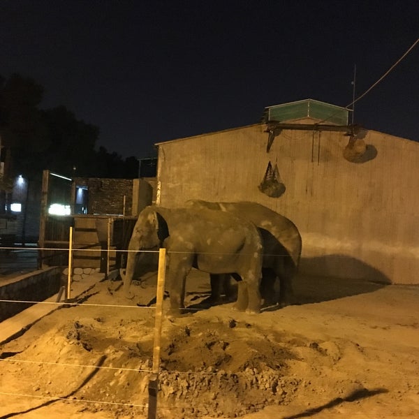 Photos at Tehran Zoo | باغ وحش تهران - منطقه ۵ - Eram Park