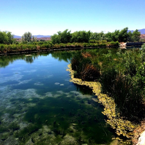 Panaca Hot Springs - 2 tips from 4 visitors