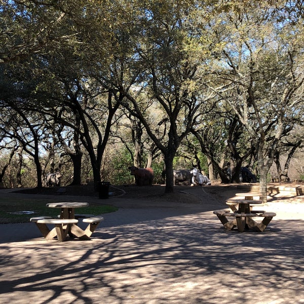 Arboretum Cows - Austin, TX