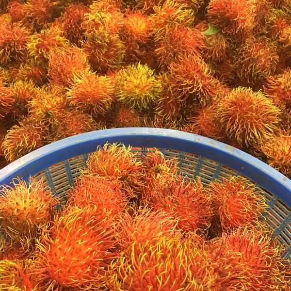 Smart Pandan - 15 tips from 2981 visitors