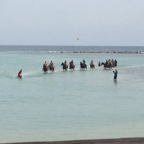 Chukka Caribbean Adventures, Chukka Cove - 3 tips from 38 visitors