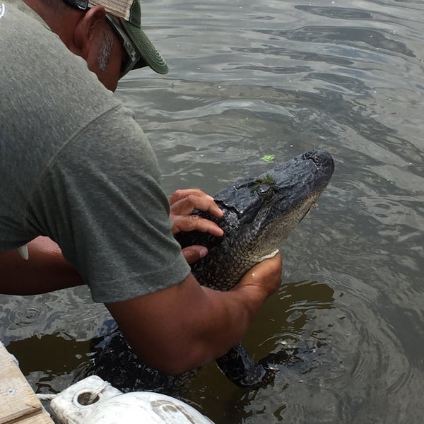 Ultimate Swamp Adventures - 4 tips from 331 visitors