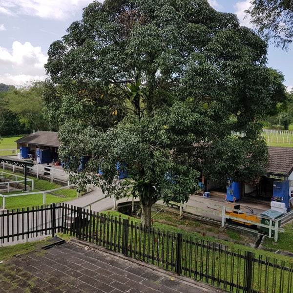 Riders Cafe - Café in Singapore