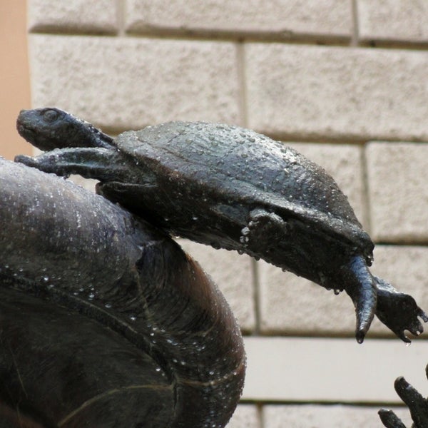 Fontana delle Tartarughe - 22 tips