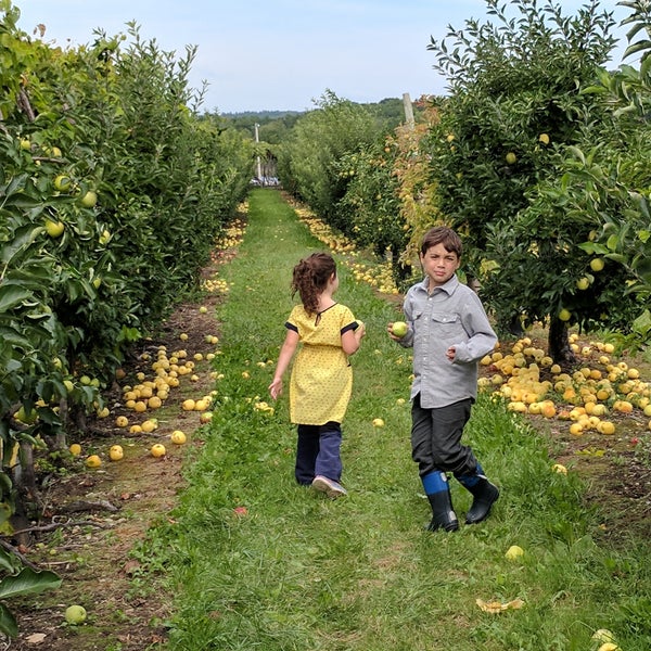 Lookout Farm - 16 tips from 930 visitors