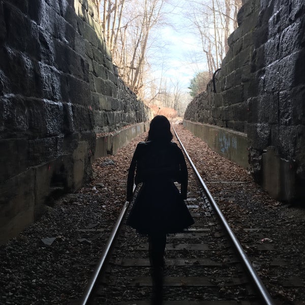 Indian Leap (Landmark) - History Museum in Norwich