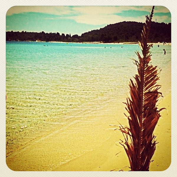 Paliouri camping - Campground