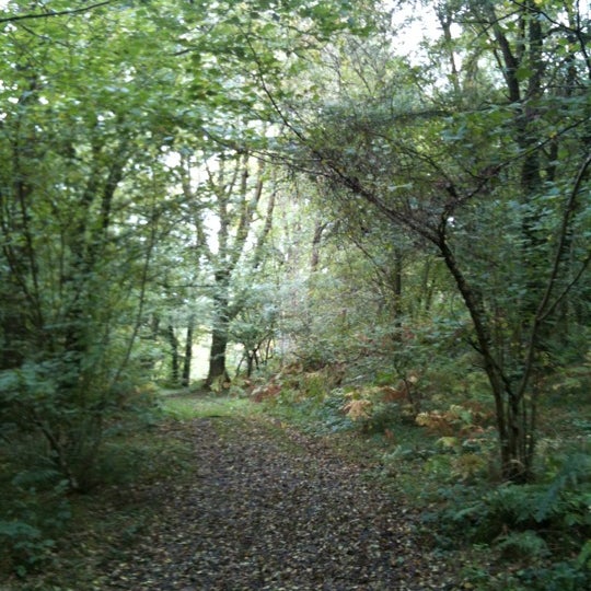 Greenham Common - Other Great Outdoors