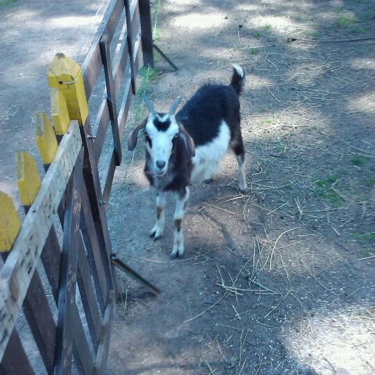 La Reja - 6 tips from 202 visitors