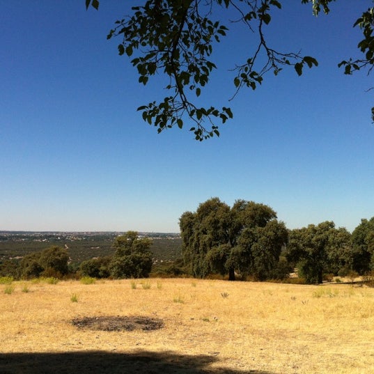 Monte de El Pardo - El Pardo - 1 tip from 166 visitors