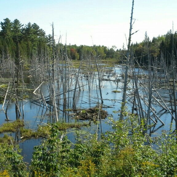 Mactaquac Provincial Park - Park