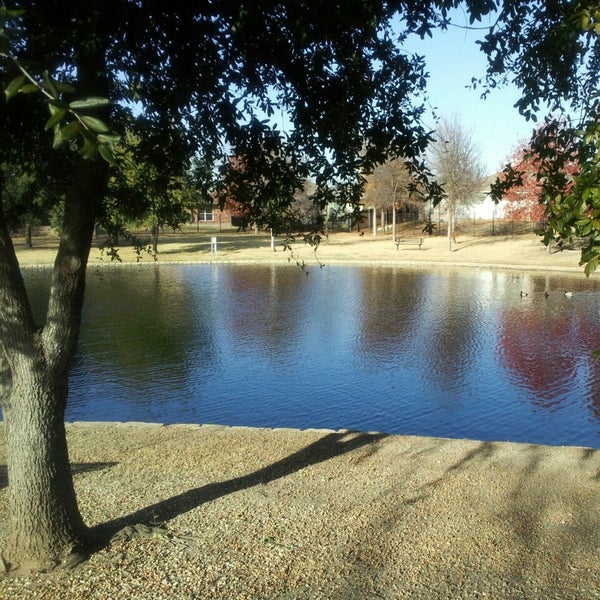 Celebration Park - Park in Allen