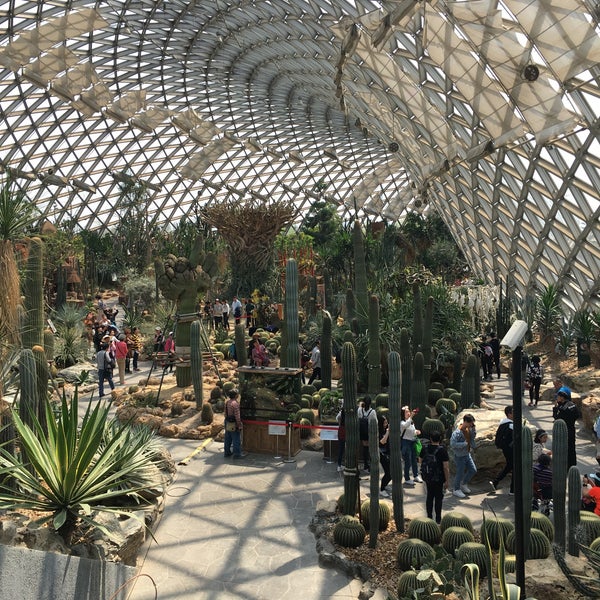 上海辰山植物园 | Chenshan Botanical Garden - Botanical Garden in 上海市