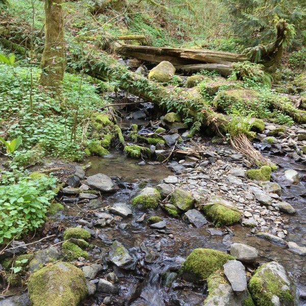 Tryon Creek State Park - Trail in Portland