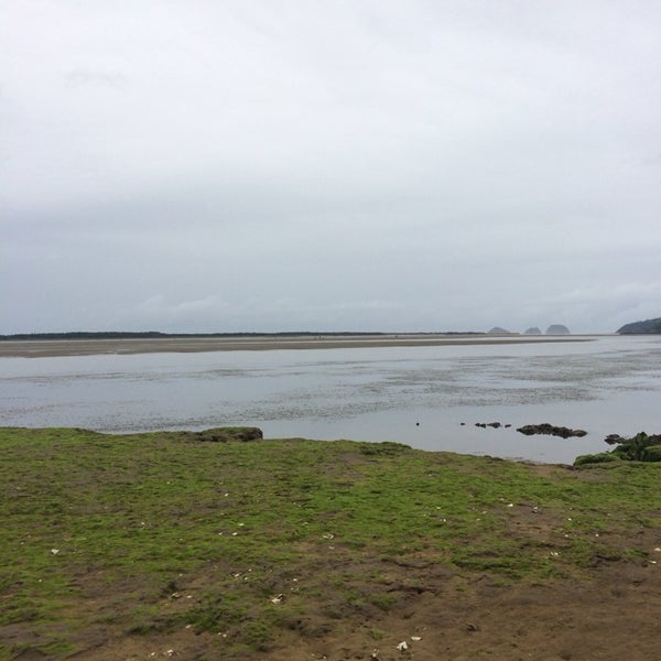 Netarts Bay Shellfish Preserve - Beach in Tillamook