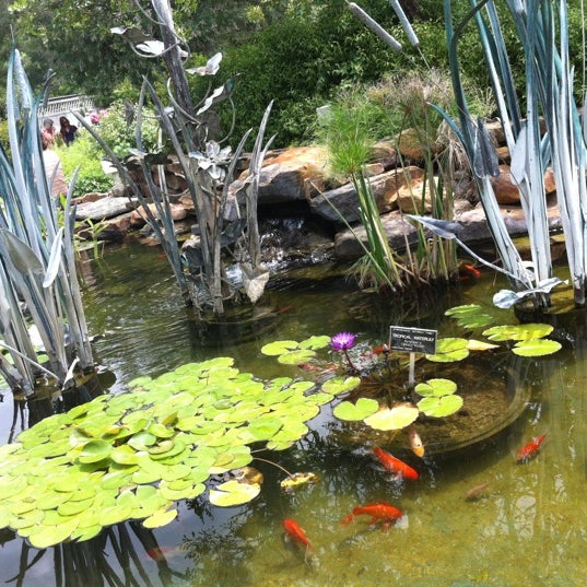 Mercer Arboretum & Botanic Gardens - Garden in Humble