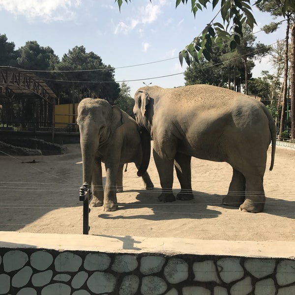 Photos at Tehran Zoo | باغ وحش تهران - منطقه ۵ - Eram Park