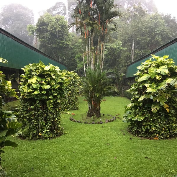 Sukau Rainforest Lodge