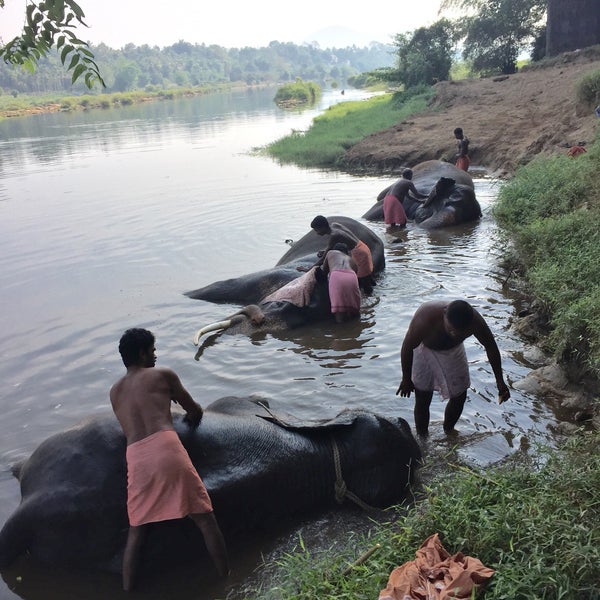 Kodanadu Elephant Kraal - 2 tips from 70 visitors