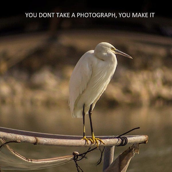 Tubli - Other Great Outdoors