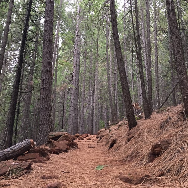 Castle Crags State Park - Castella, CA