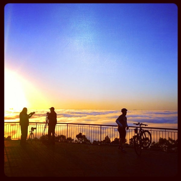 Mount Coot-tha Lookout - Scenic Lookout in Mount Coot-tha
