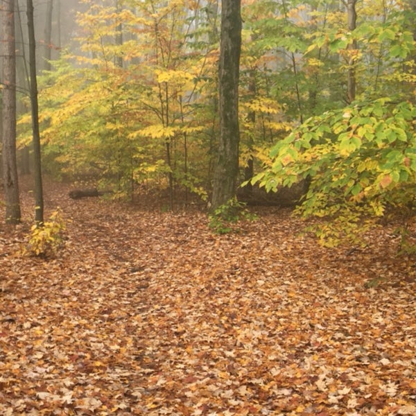 Riley Trails - Trail