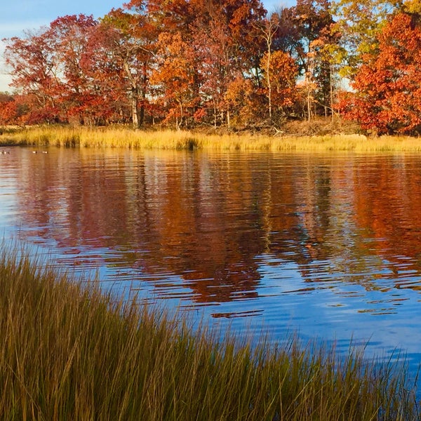 Marshlands Conservancy - Boston Post Road